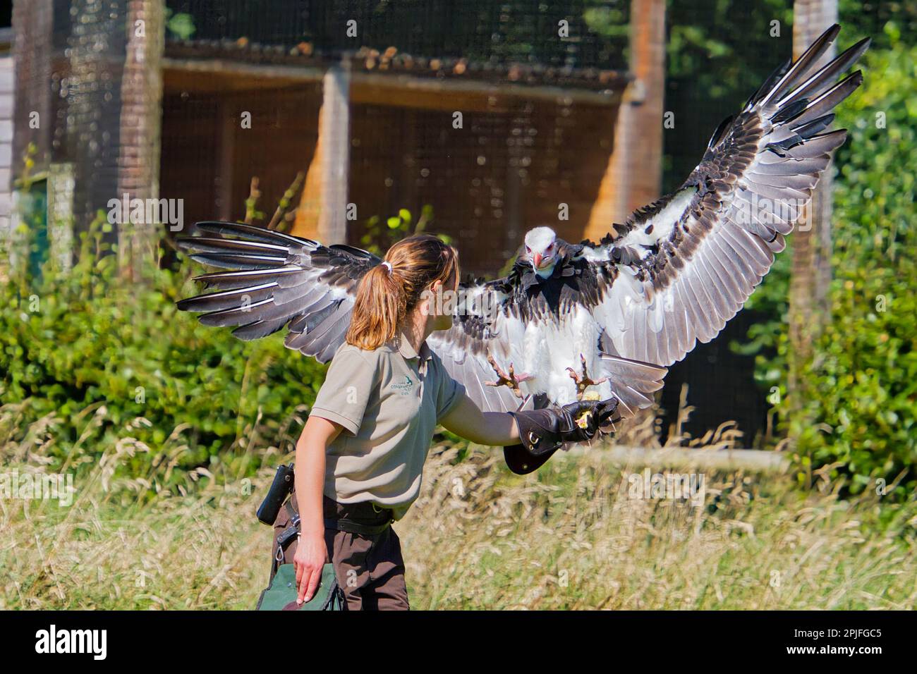 Vulture girl hi-res stock photography and images - Alamy