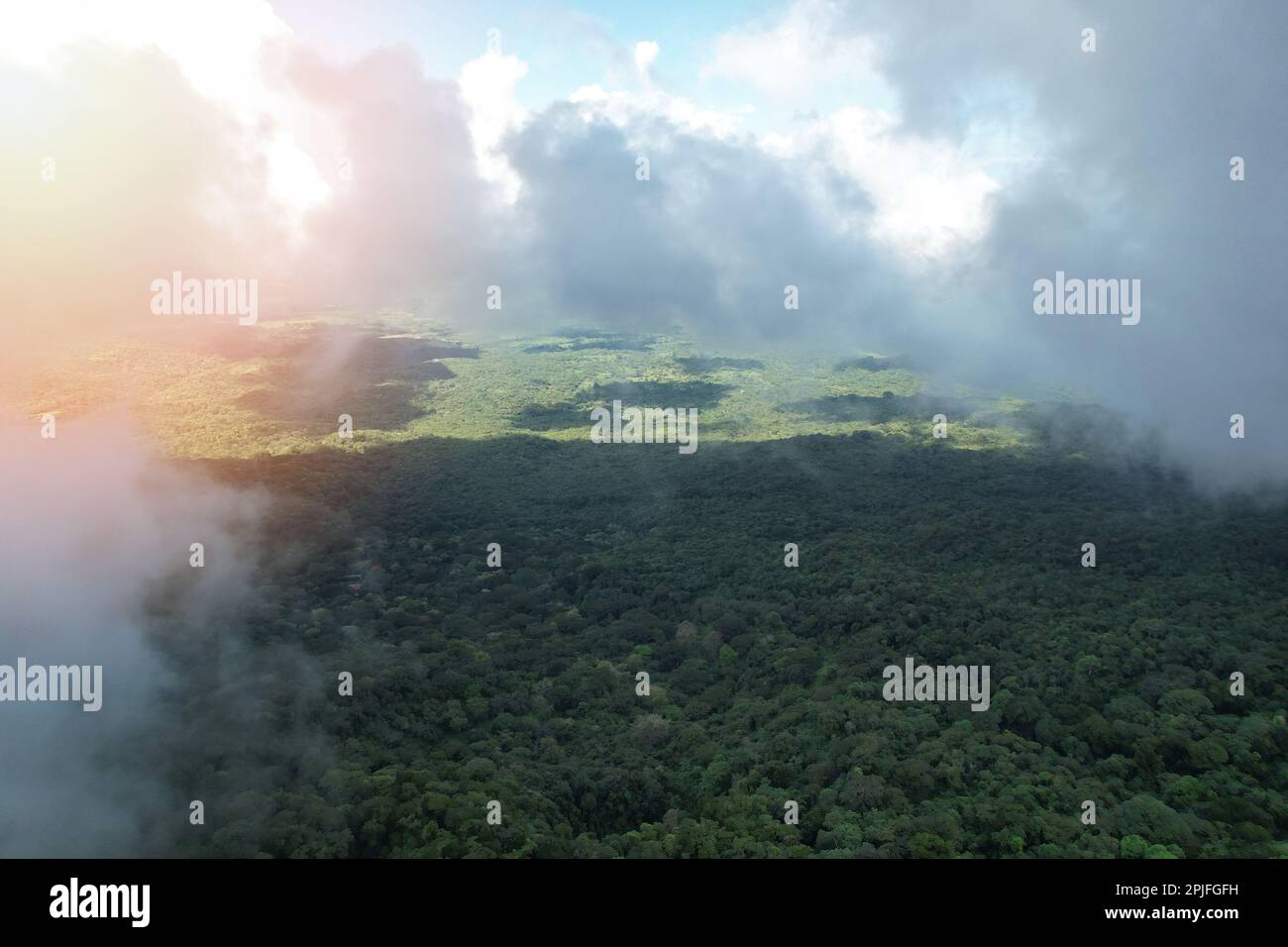 Green jungle tropical landscape aerial drone top view Stock Photo - Alamy