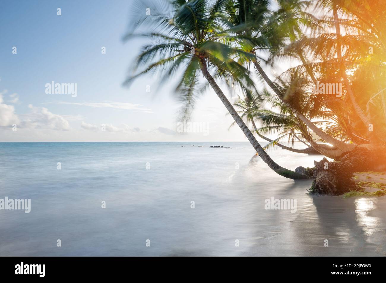 Smooth sea water on Caribbean beach with palm trees on sunset time ...