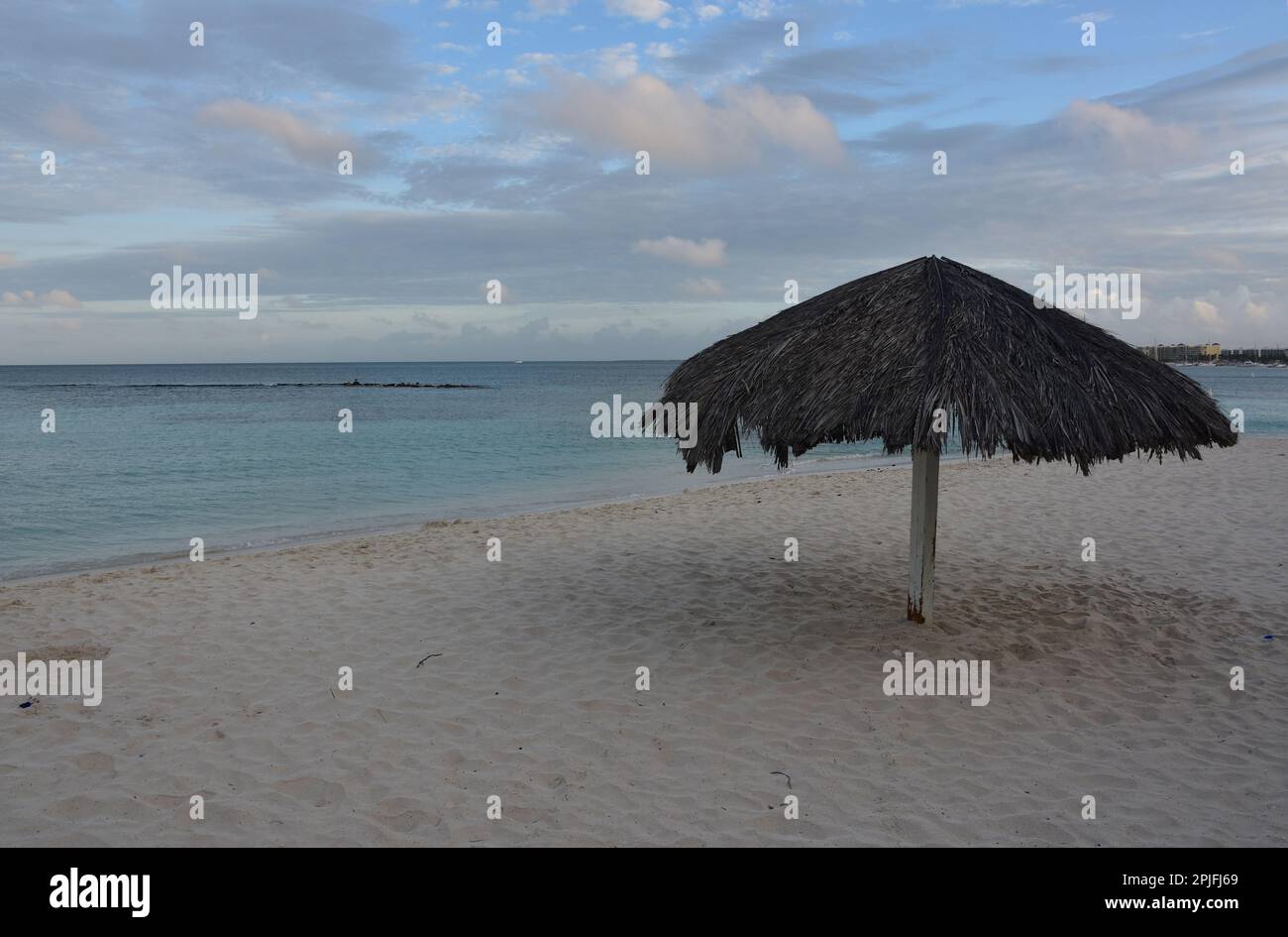 Grass beach hut on a white sand beach in Aruba Stock Photo - Alamy