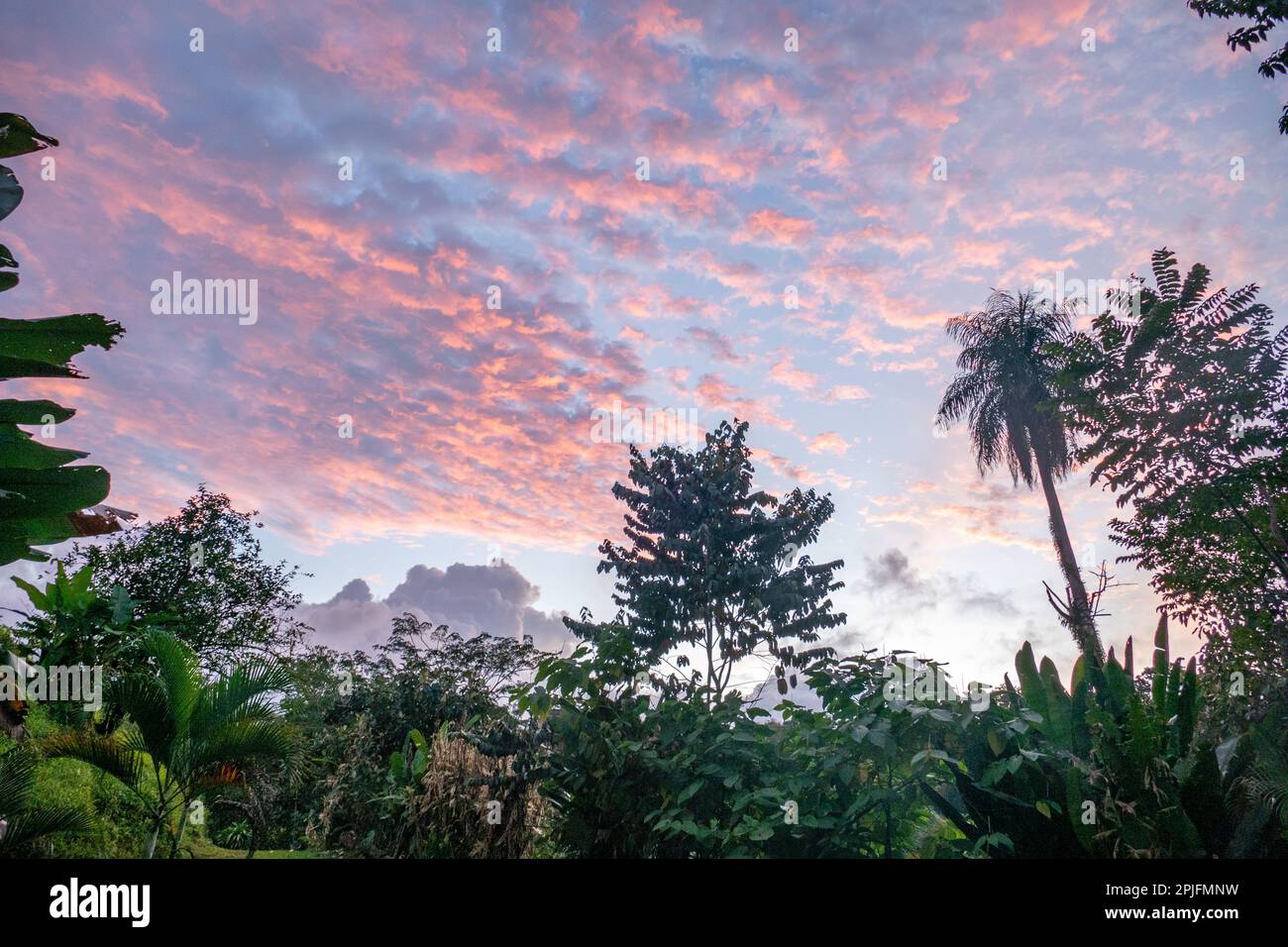 beautiful sunset in the jungle of Costa Rica Stock Photo - Alamy