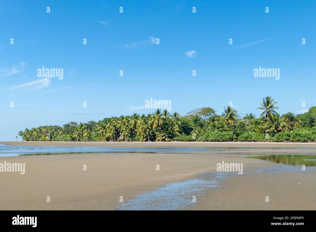 tropical sandy beach in Costa Rica with jungle in background Stock ...