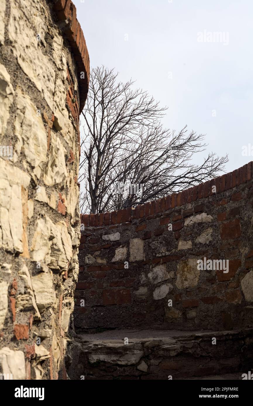Staircase outside a tower of a castle Stock Photo - Alamy