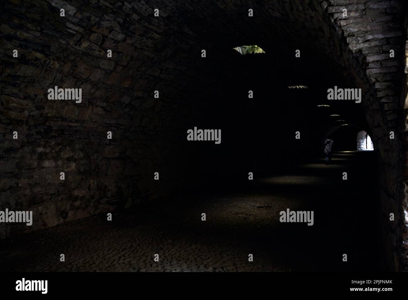 Dark and covered passage in the boundary wall of a castle Stock Photo ...