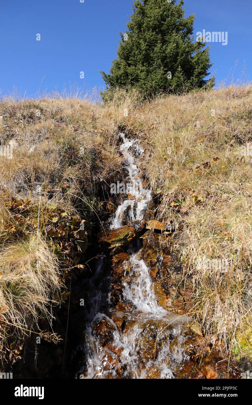 Stony river in austria hi-res stock photography and images - Alamy
