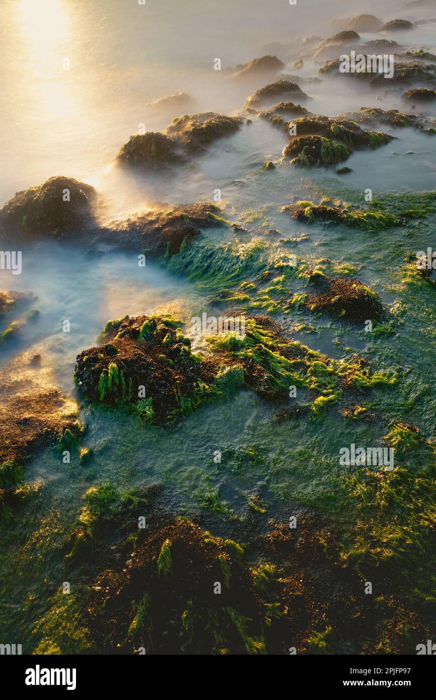 Rocks on the zeeland coast of the netherlands hi-res stock photography ...