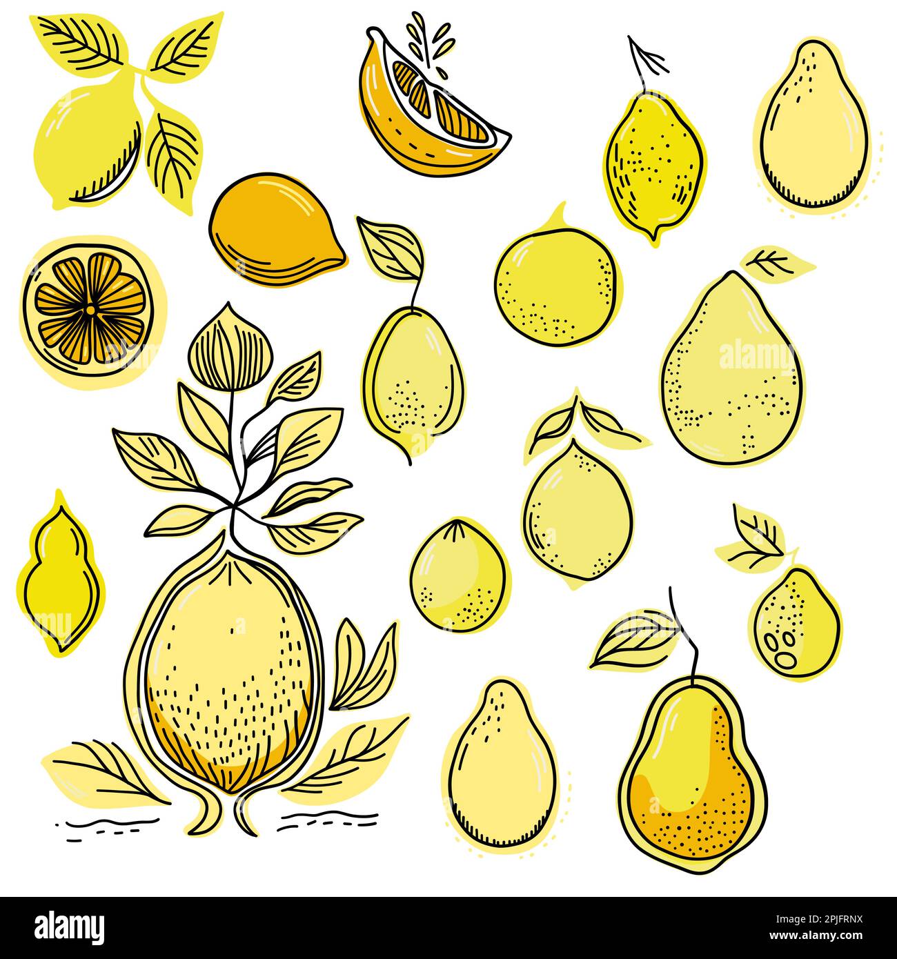 Whole lemon fruit pattern Stock Vector Images - Alamy