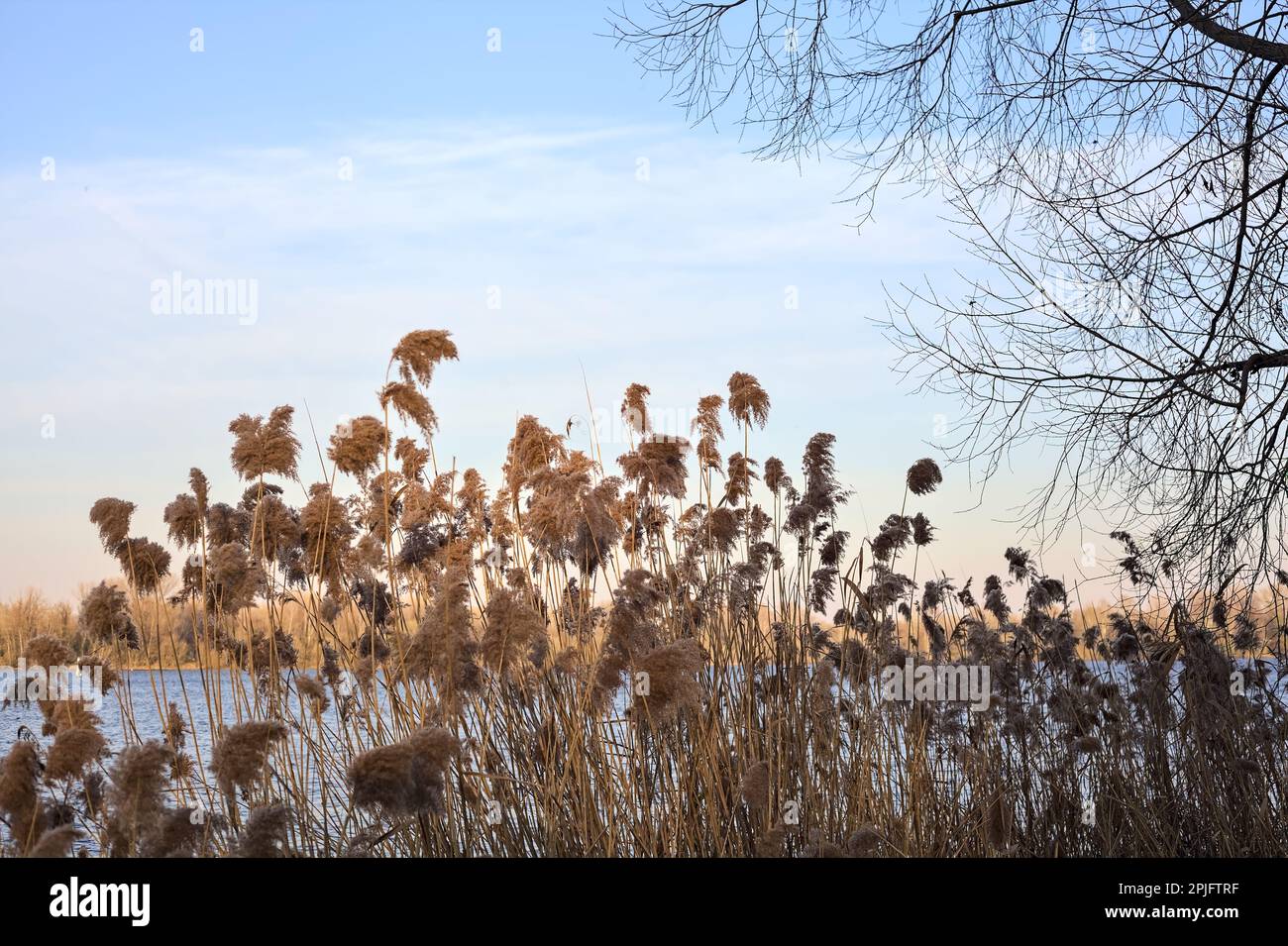 Gold rushes hi-res stock photography and images - Alamy