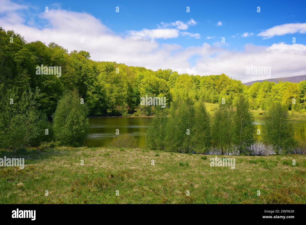 scenery with park lake. forest on the hill beneath a sky with fluffy ...