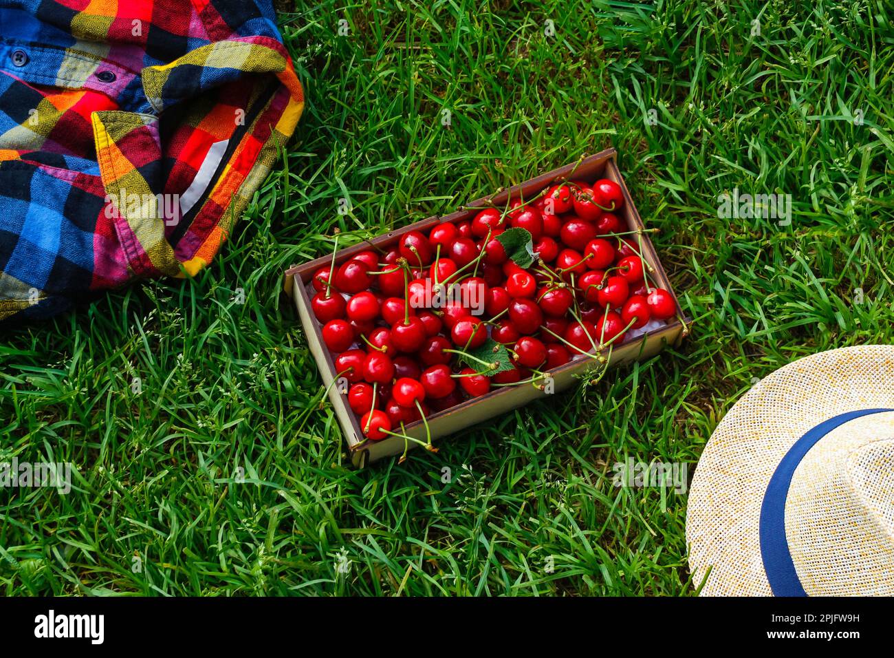 Sweet cherries. Top view of box of sweet cherries, cropped hat and ...