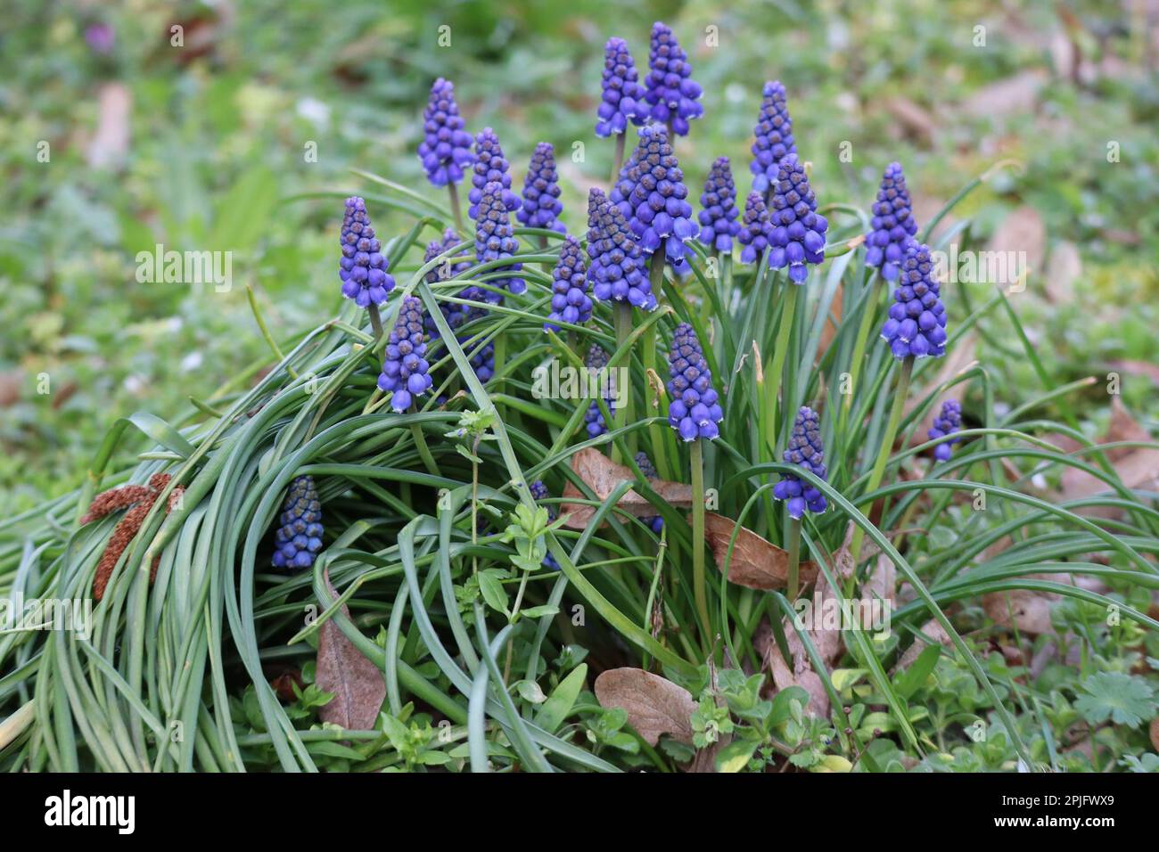 Rough wind hi-res stock photography and images - Alamy
