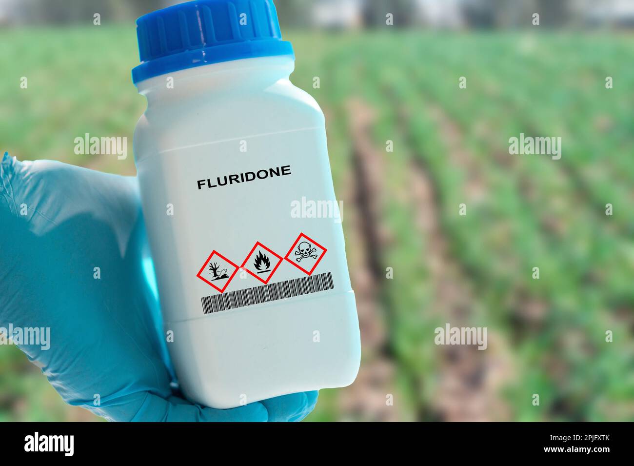 Fluridone A herbicide used to control submerged and floating aquatic ...