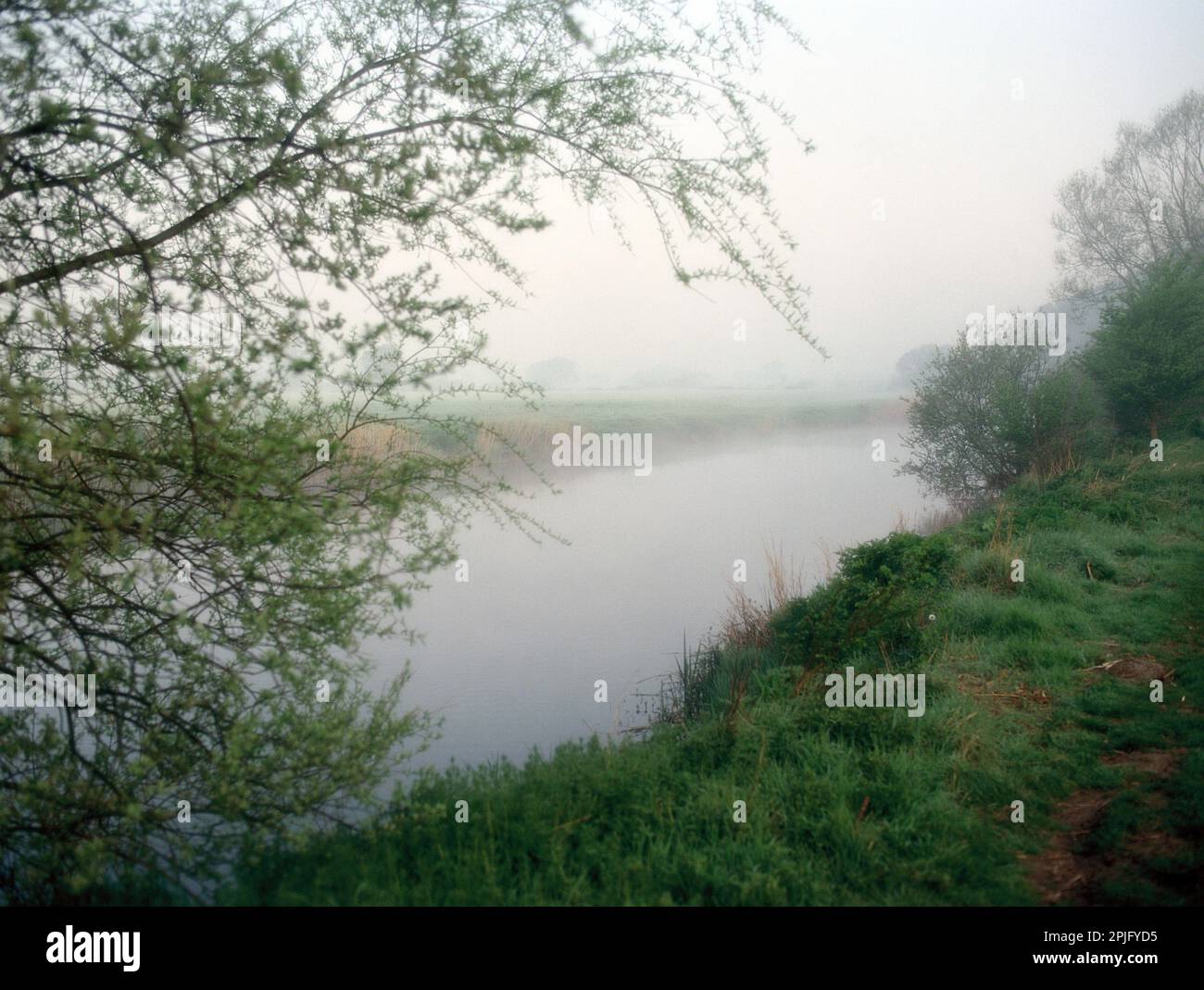 Misty landscape river overhanging hi-res stock photography and images ...