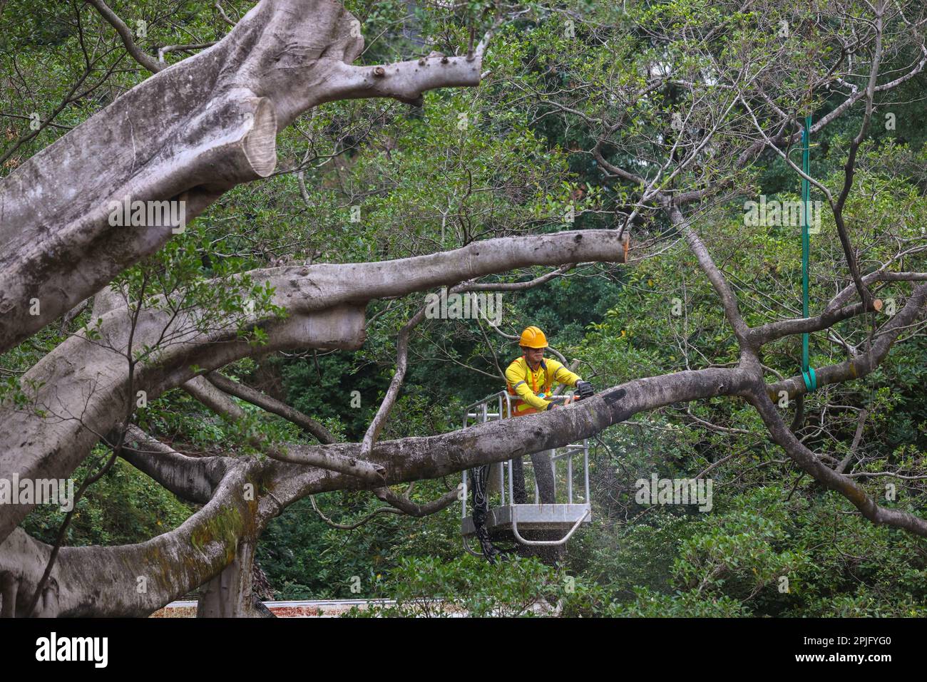 Photo shows an engineer trying to do urgent removal works for one Old ...