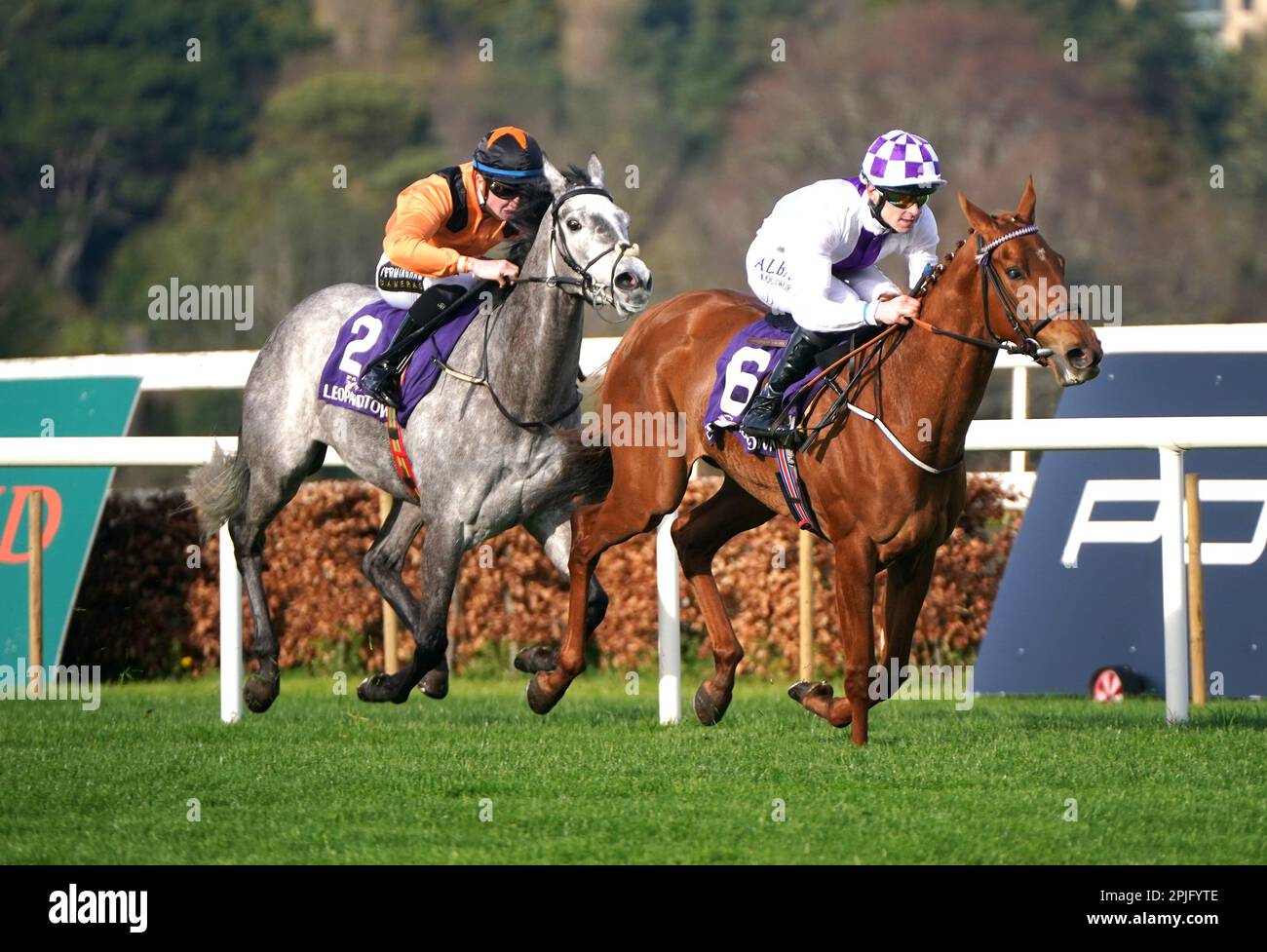 Purple Gown ridden by jockey Luke McAteer (right) wins the Sunday 7th ...