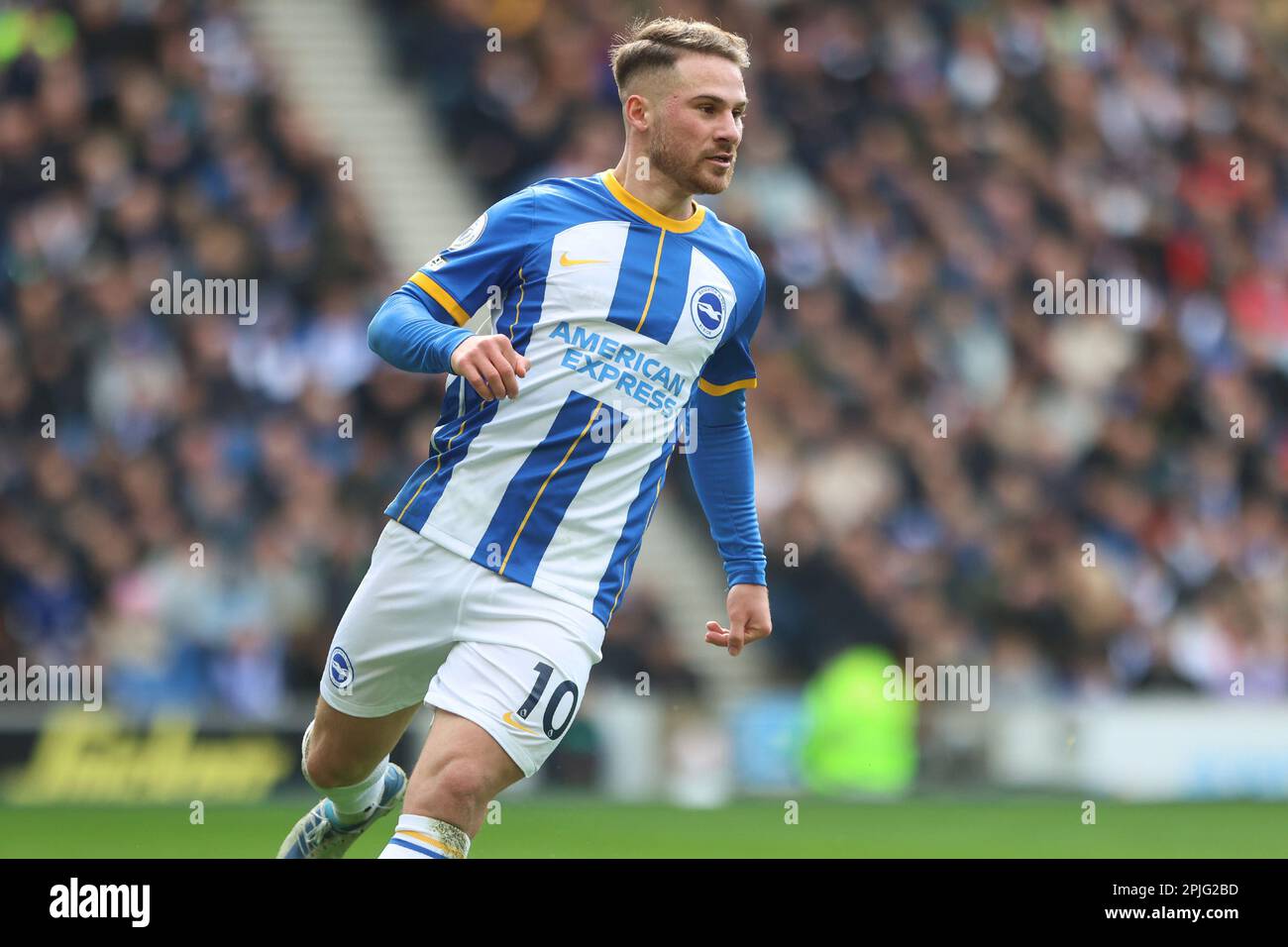 Alexis Mac Allister in action for Brighton & Hove Albion at the AMEX Stadium Stock Photo - Alamy