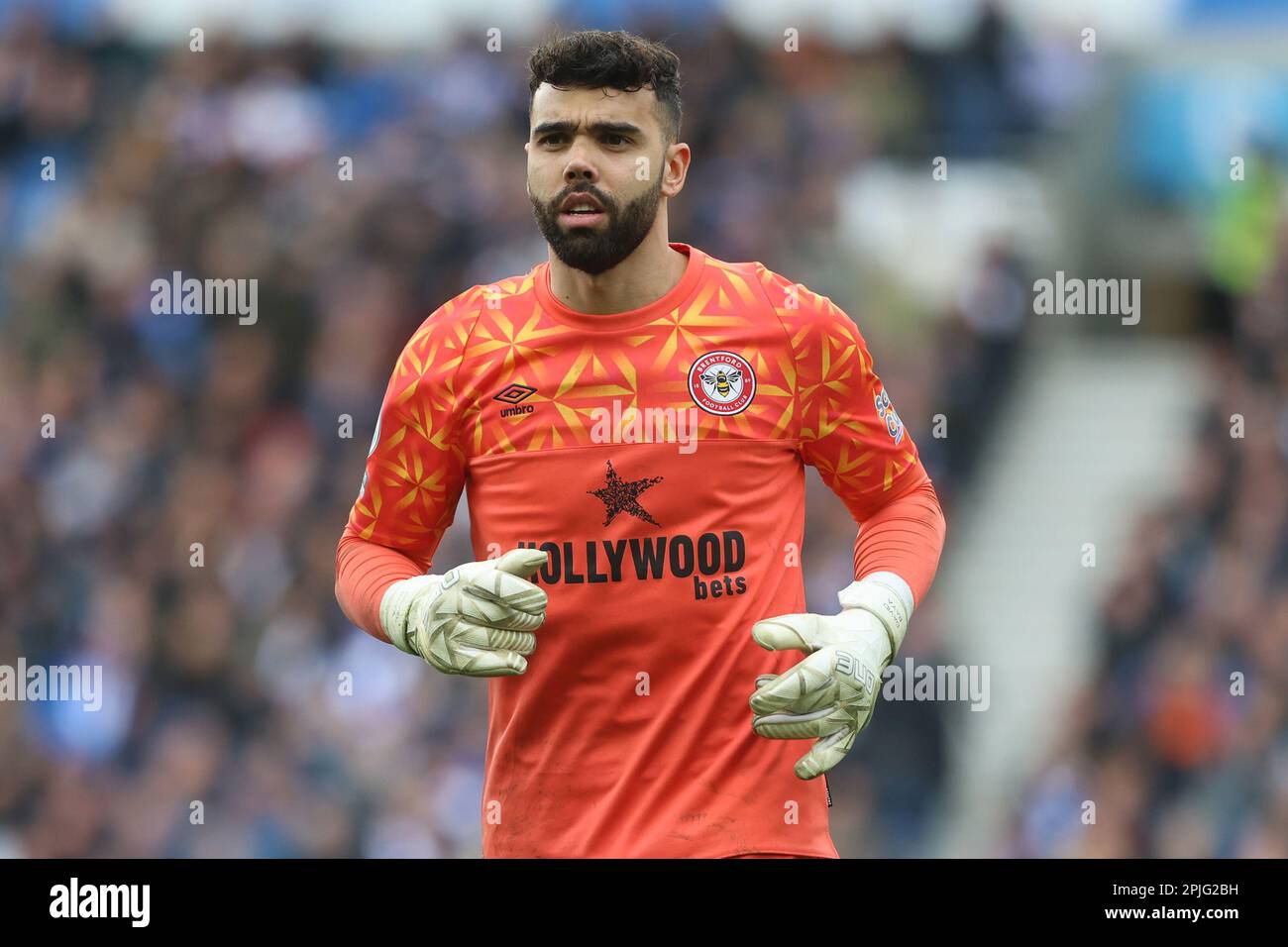 David Raya in action for Brentford FC at the AMEX Stadium Stock Photo ...