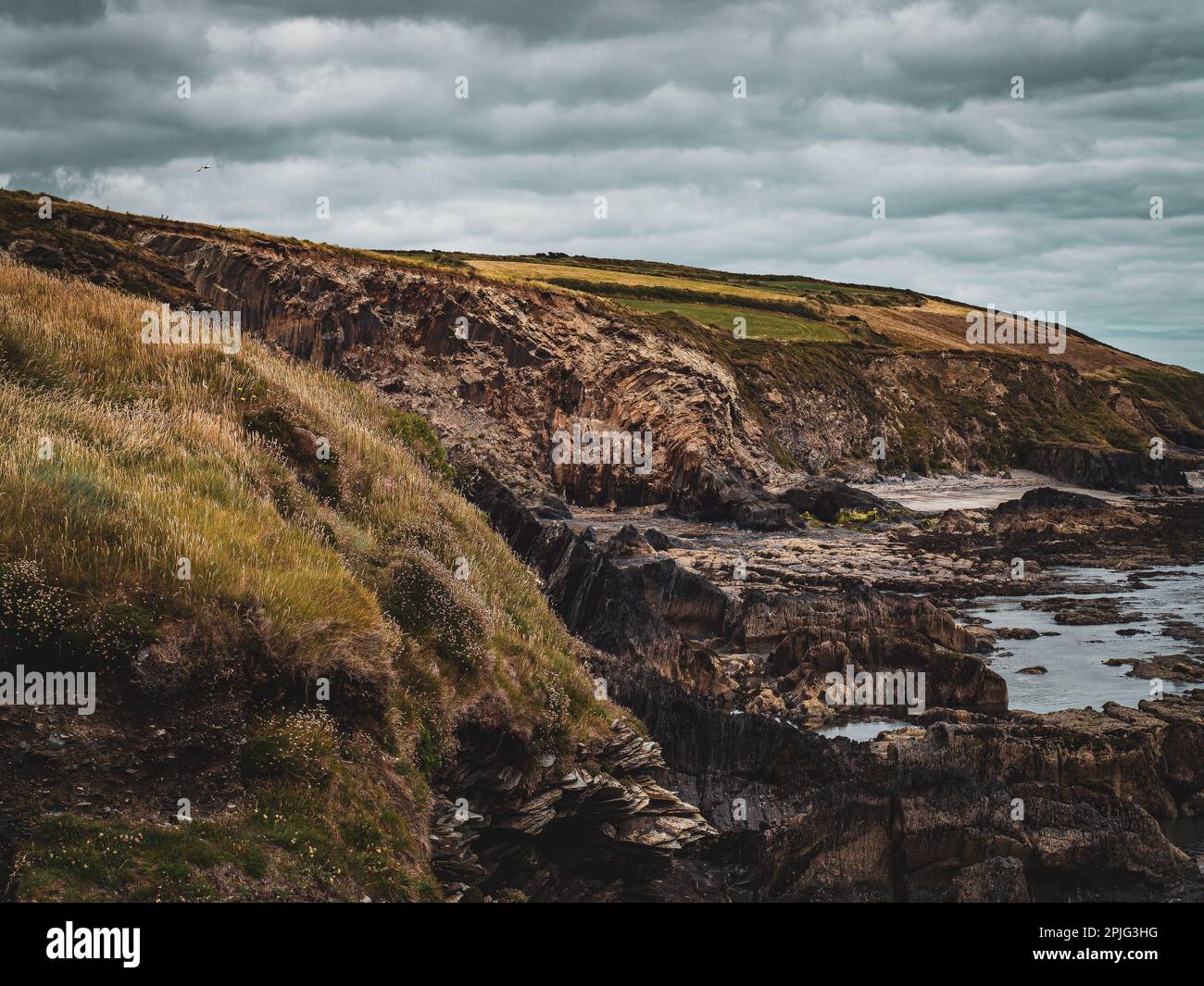 Picturesque landscape. Wild vegetation on stony soil. Cloudy sky. Views ...