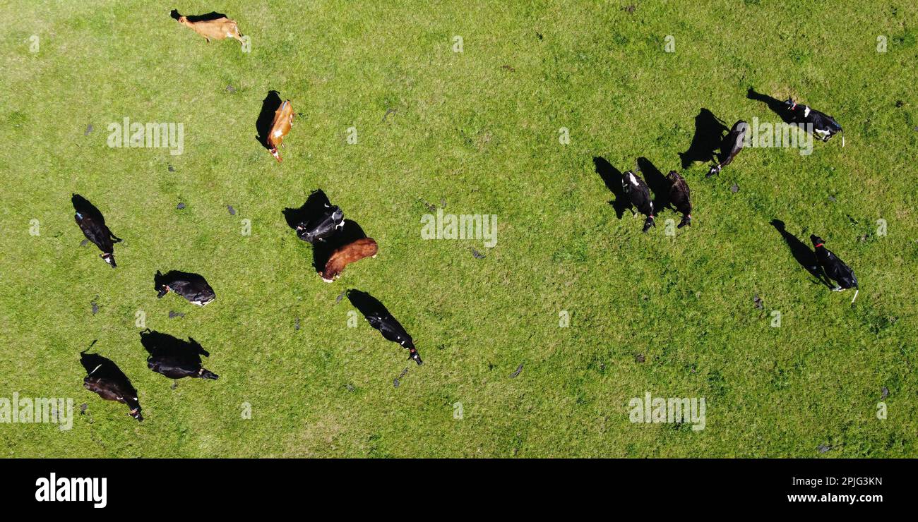 Aerial top view group farmers hi-res stock photography and images - Alamy