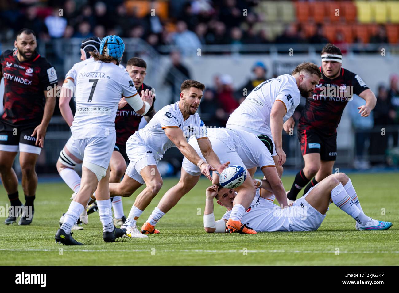 Ospreys centre hi-res stock photography and images - Alamy
