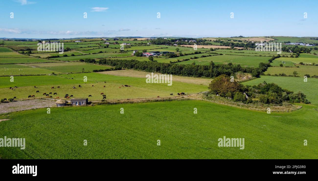 Vast pastures for cattle in the Ireland. Picturesque farmland, top view ...
