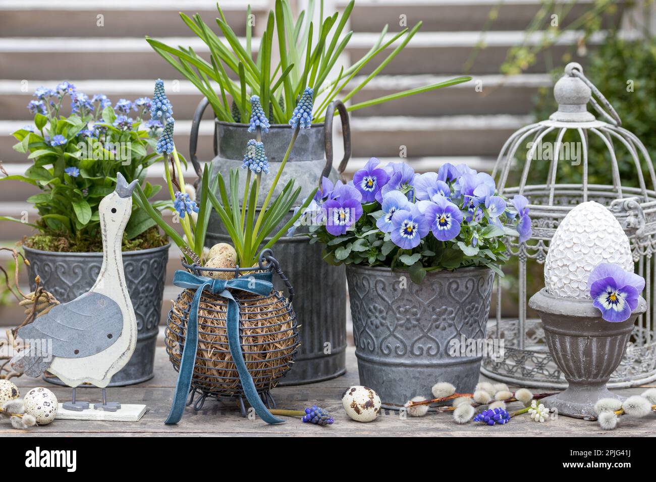 easter arrangement with easter goose and blue spring flowers Stock ...