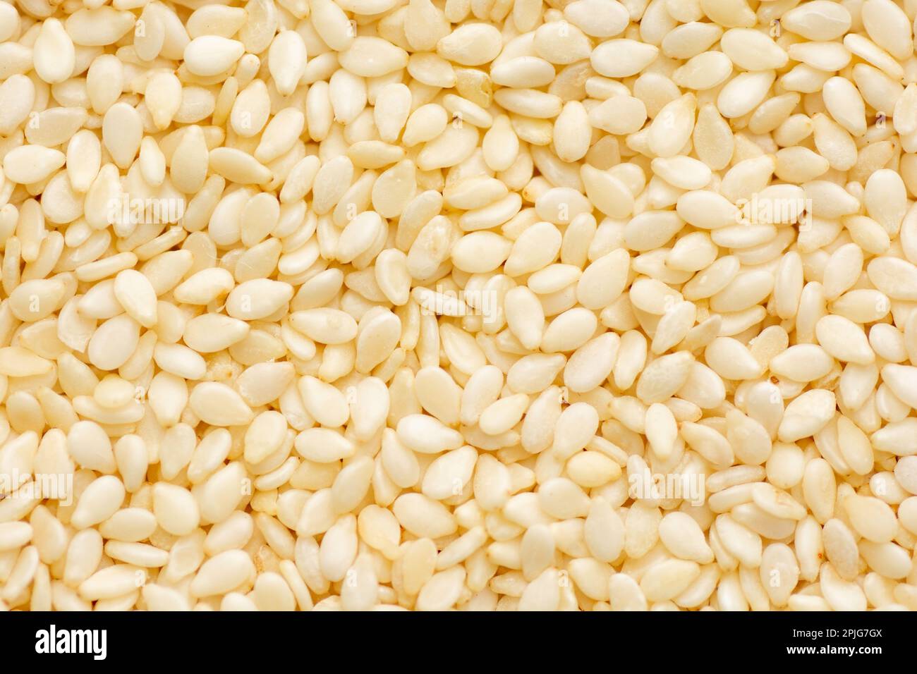 Closeup of lots of white sesame seeds. Sesame seeds background Stock ...