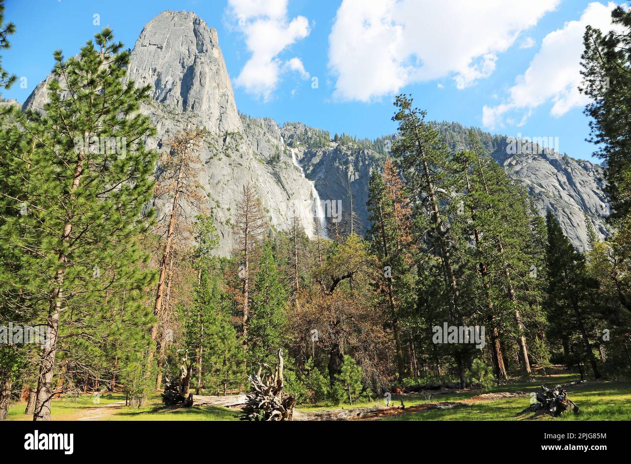 View at Sentinel Fall - Yosemite National Park, California Stock Photo ...