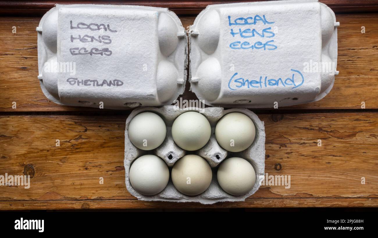 Shetland local eggs hi-res stock photography and images - Alamy