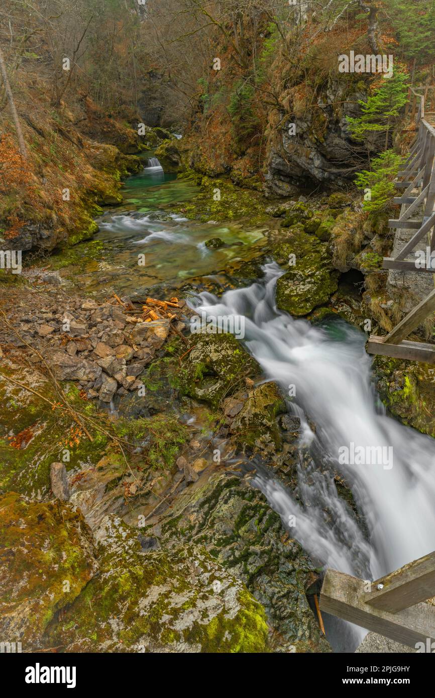 Sum waterfall on Radovna river in spring color fresh north Slovenia ...