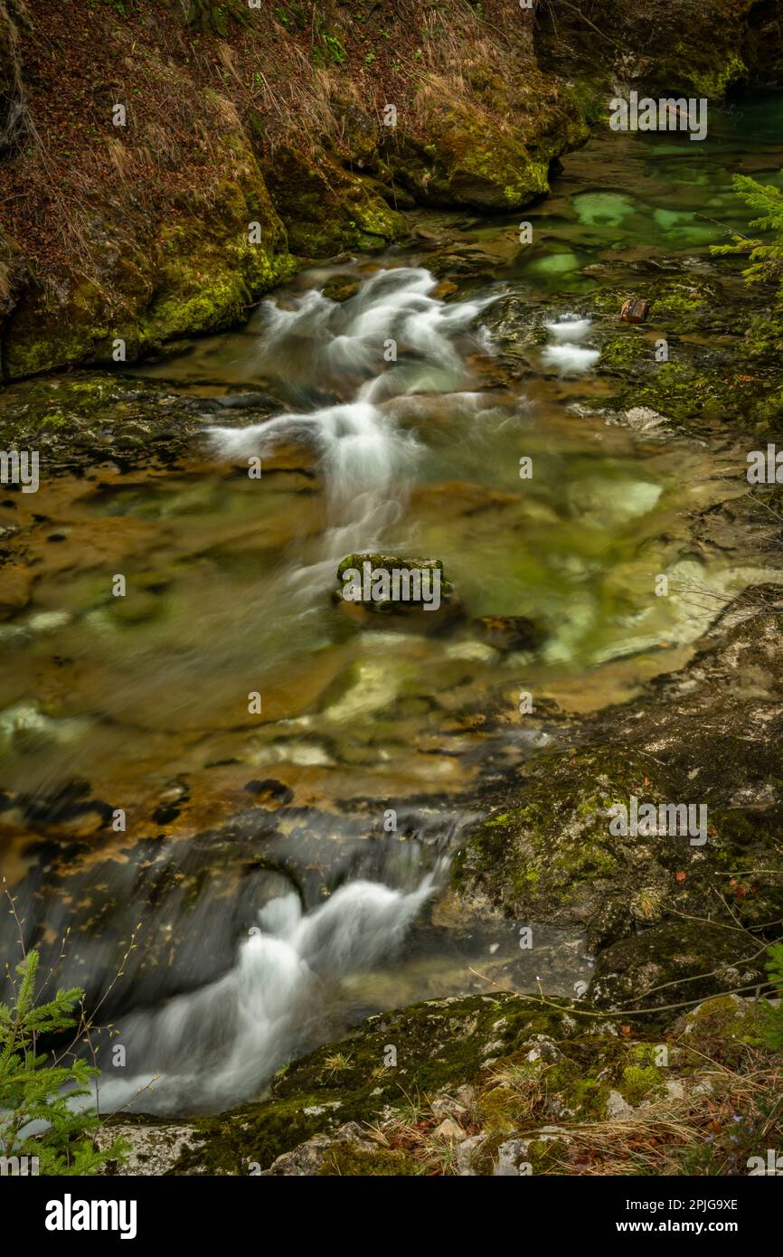 Sum waterfall on Radovna river in spring color fresh north Slovenia ...