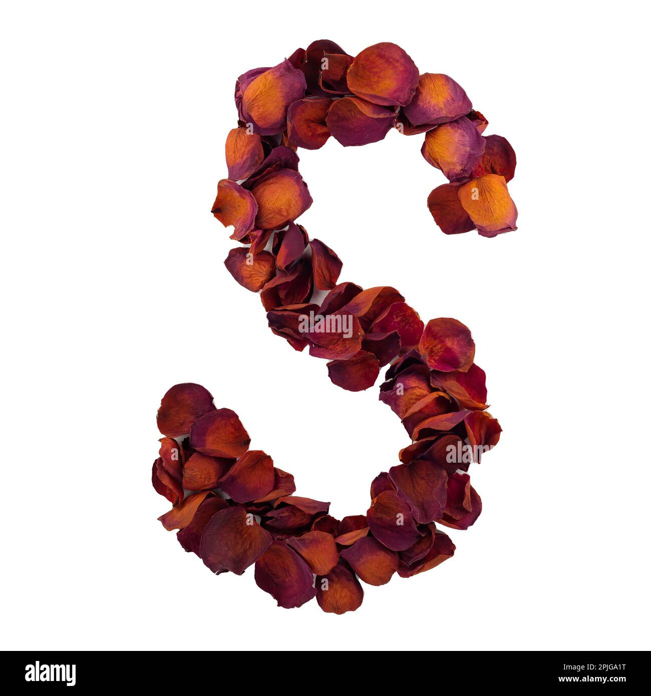 Letter S from dry red rose petals, isolated on white background. Nature ...