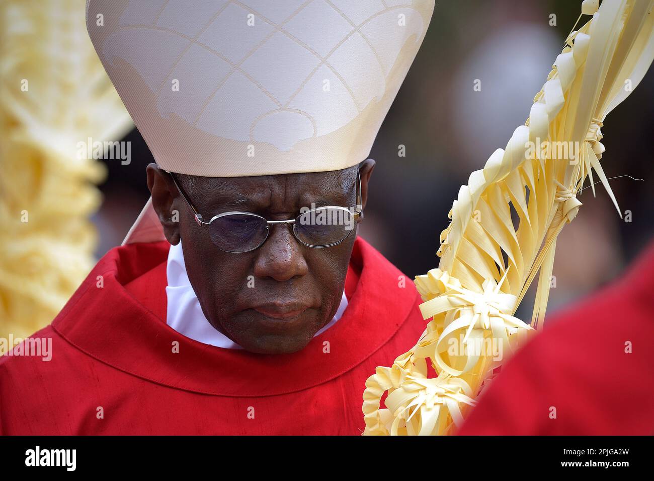 Cardinal Robert Sarah .Pope Francis celebrates the Palm Sunday mass in ...