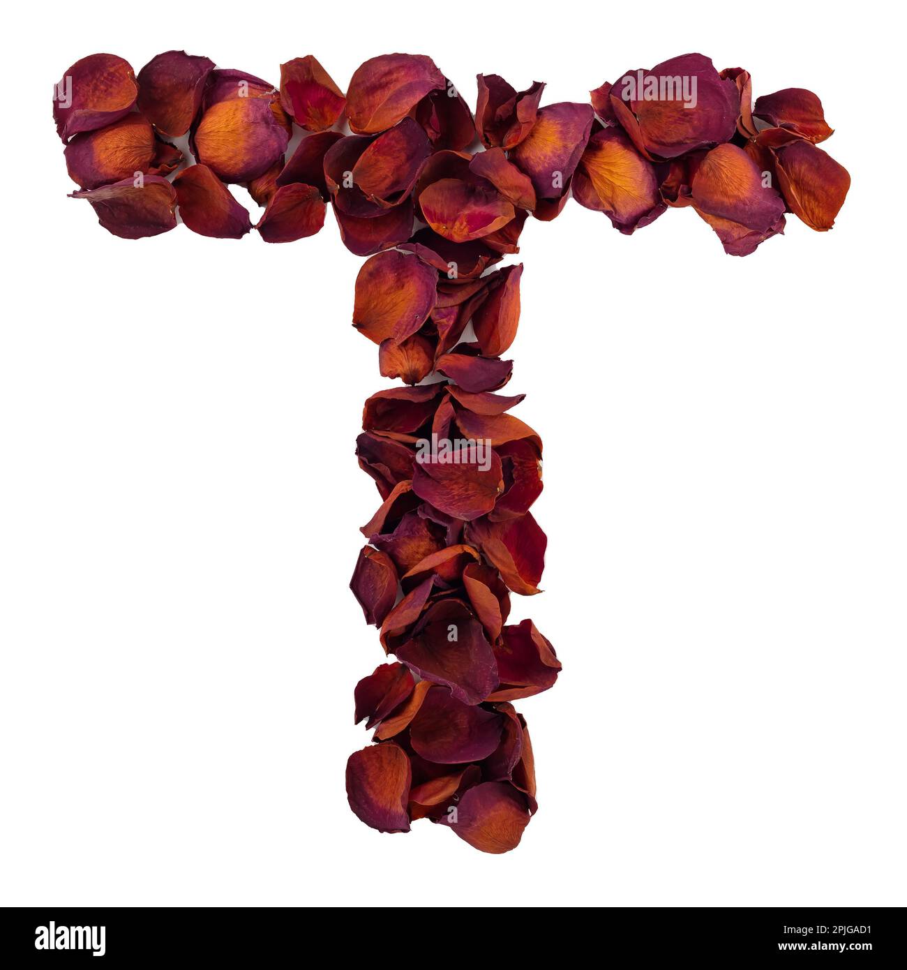 Letter T from dry red rose petals, isolated on white background. Nature ...
