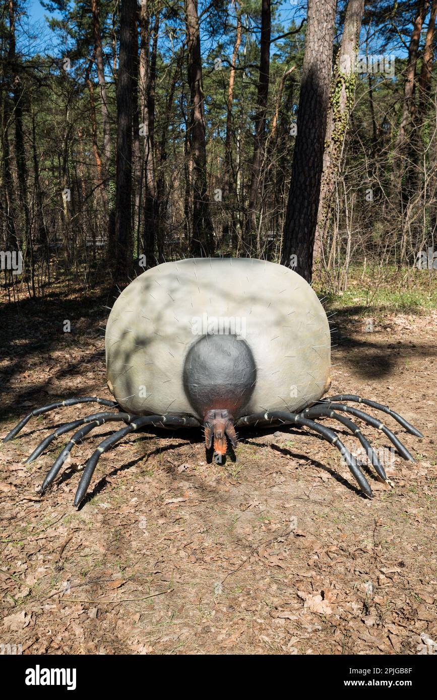 Unusual tick hi-res stock photography and images - Alamy