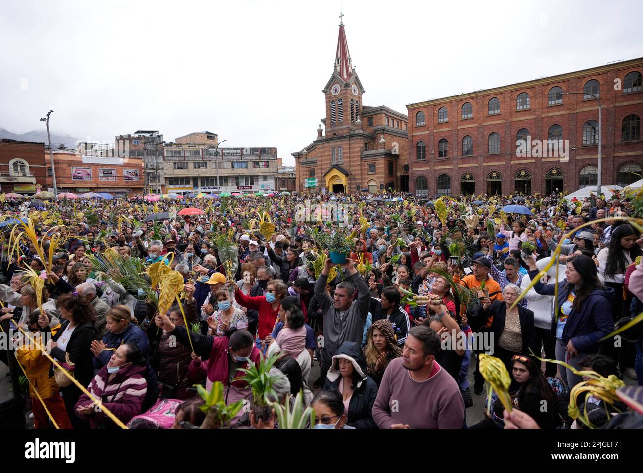Faithful hold palm fronds to be blessed during an outdoor Palm Sunday ...