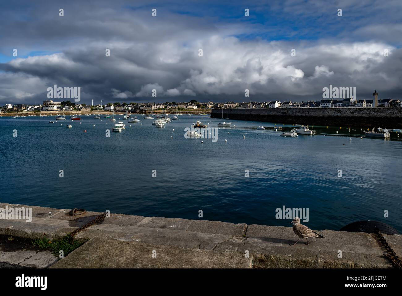 Harbor At City Of Roscoff At The Finistere Atlantic Coast In Brittany ...
