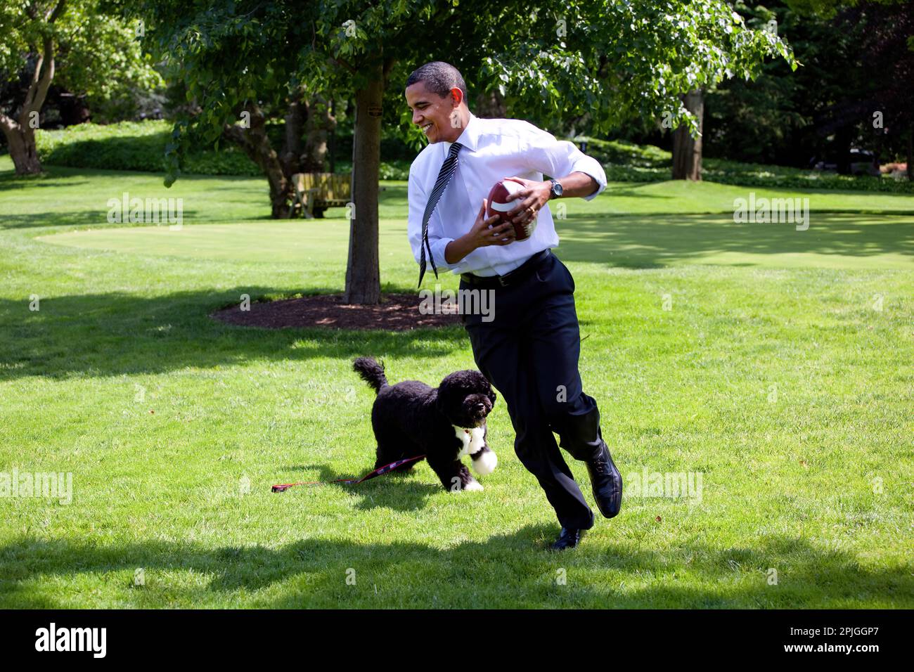 President Barack Obama, with the family dog Bo, playing football on the ...