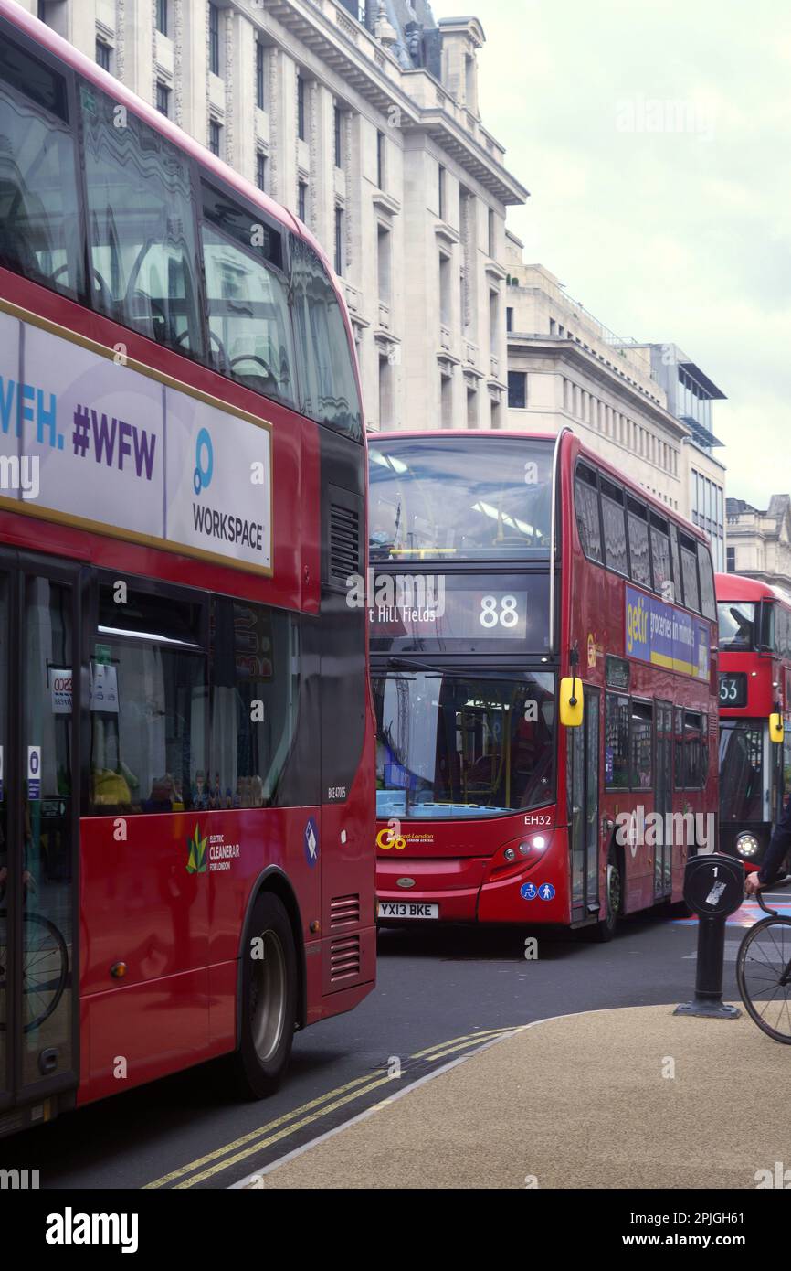 Eco friendly transport for commuting workers and sightseeing tourists ...