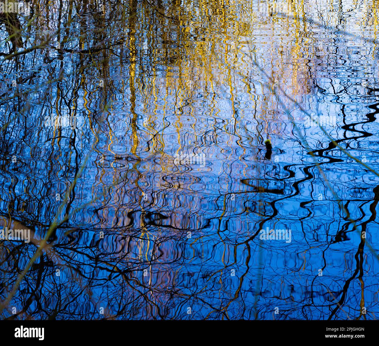 Quantum universe- reflections of trees in a lake Stock Photo - Alamy