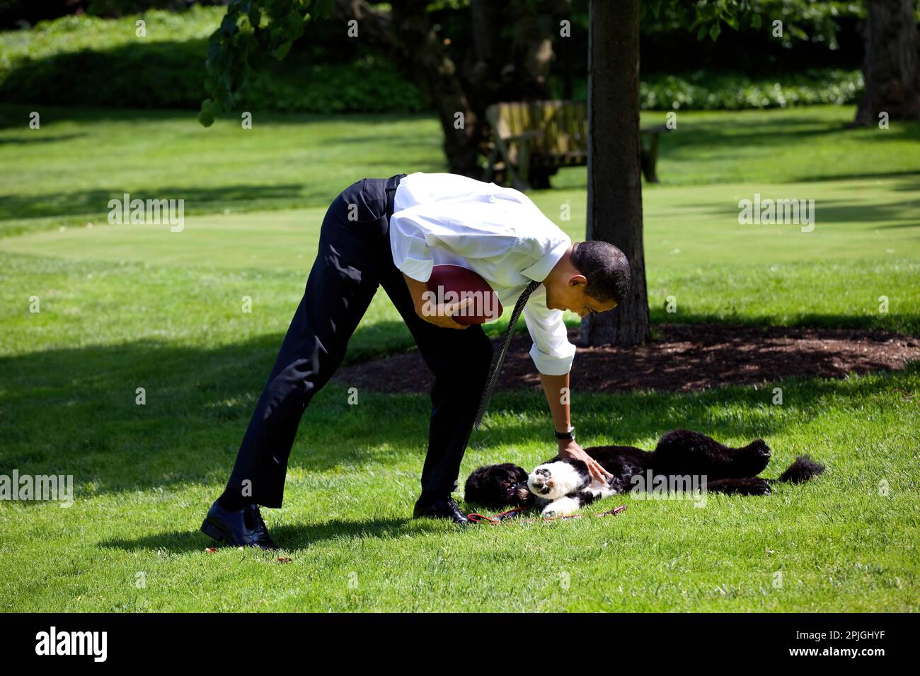 President Barack Obama, with the family dog Bo, playing football on the ...