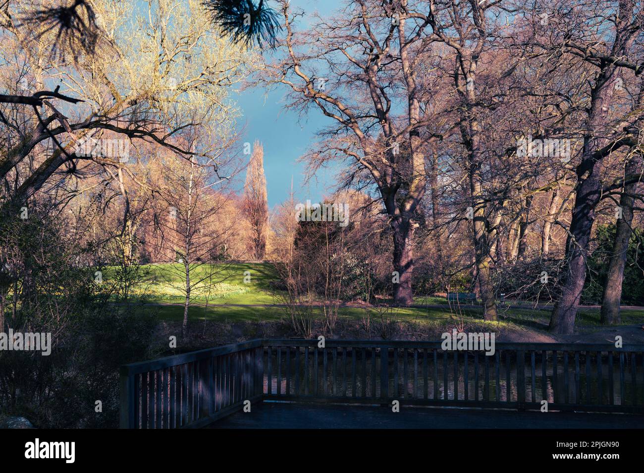 Fall leaves behind railing hi-res stock photography and images - Alamy