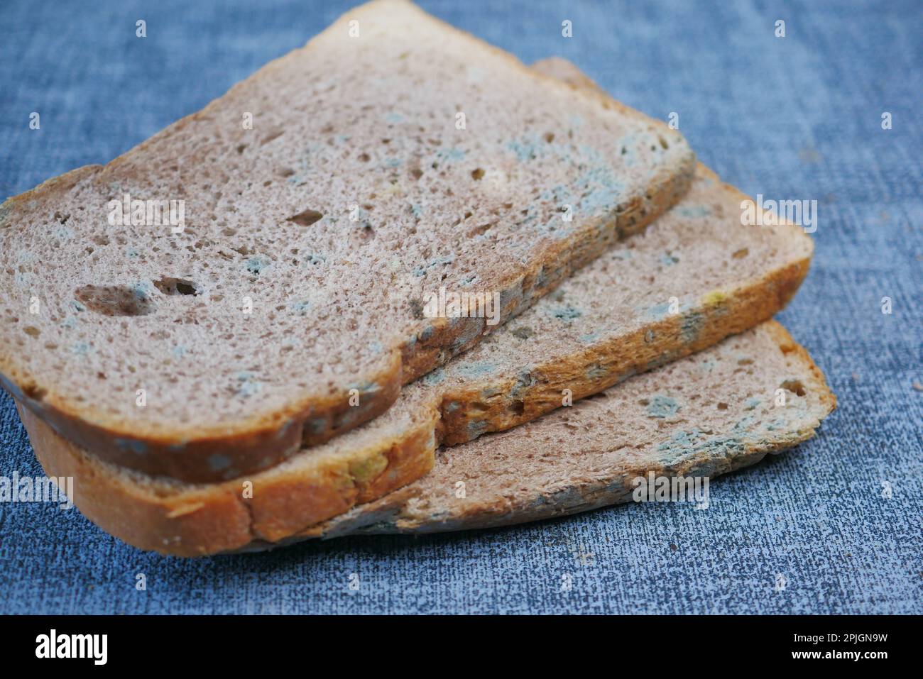 bread with mildew. Spoiled products Stock Photo - Alamy