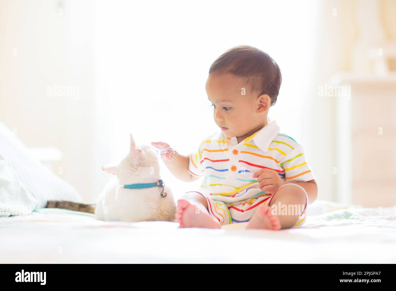 Girl cat home asia hi-res stock photography and images - Alamy