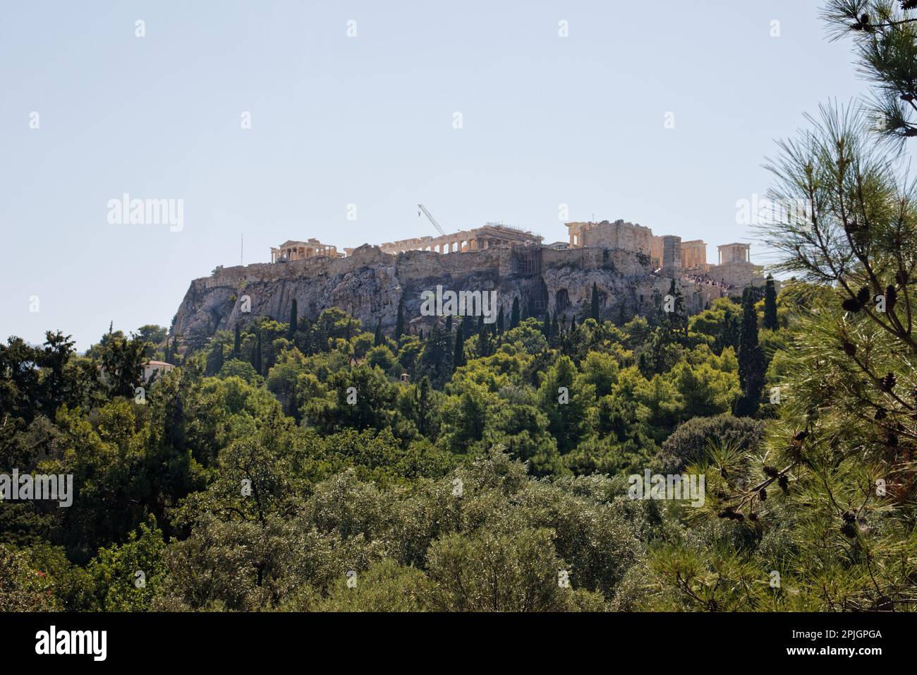 The Acropolis behind the tree line, Athens, Attica, Greece Stock Photo ...