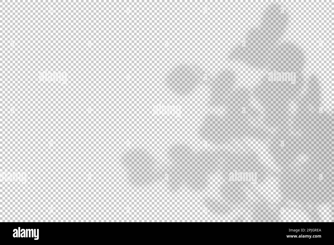 Tree leaf shadow. Plant leaves overlay shade. Soft reflect light from ...