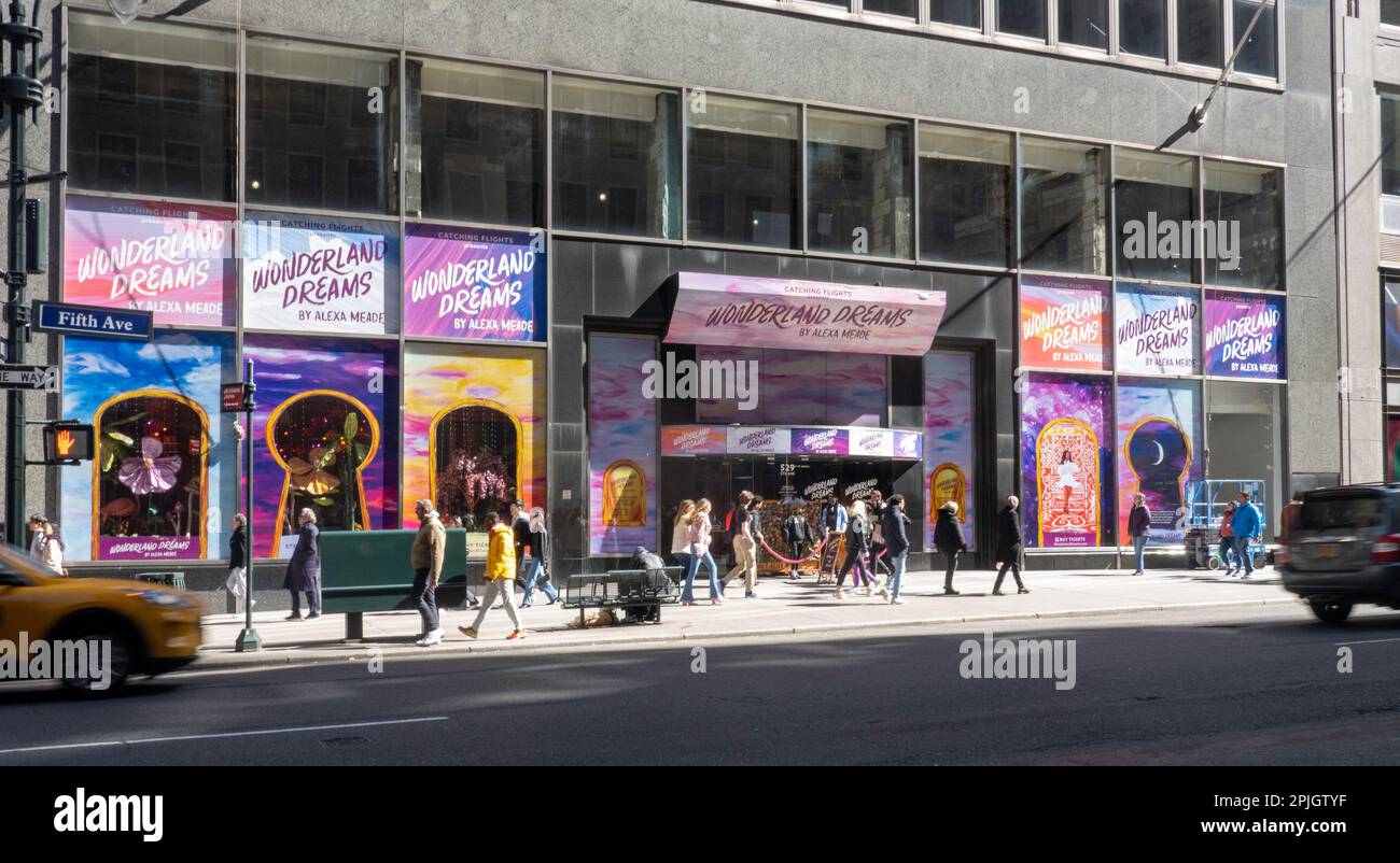 Wonderland dreams on fifth Avenue is a hand painted immersive art ...