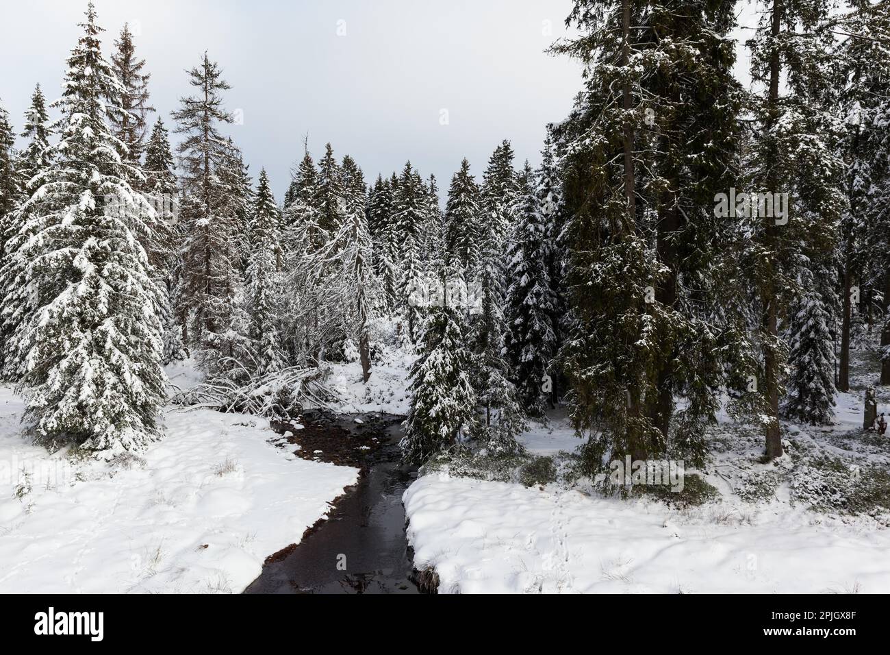 View of a stream from the Oderteich circular hiking trail Stock Photo ...
