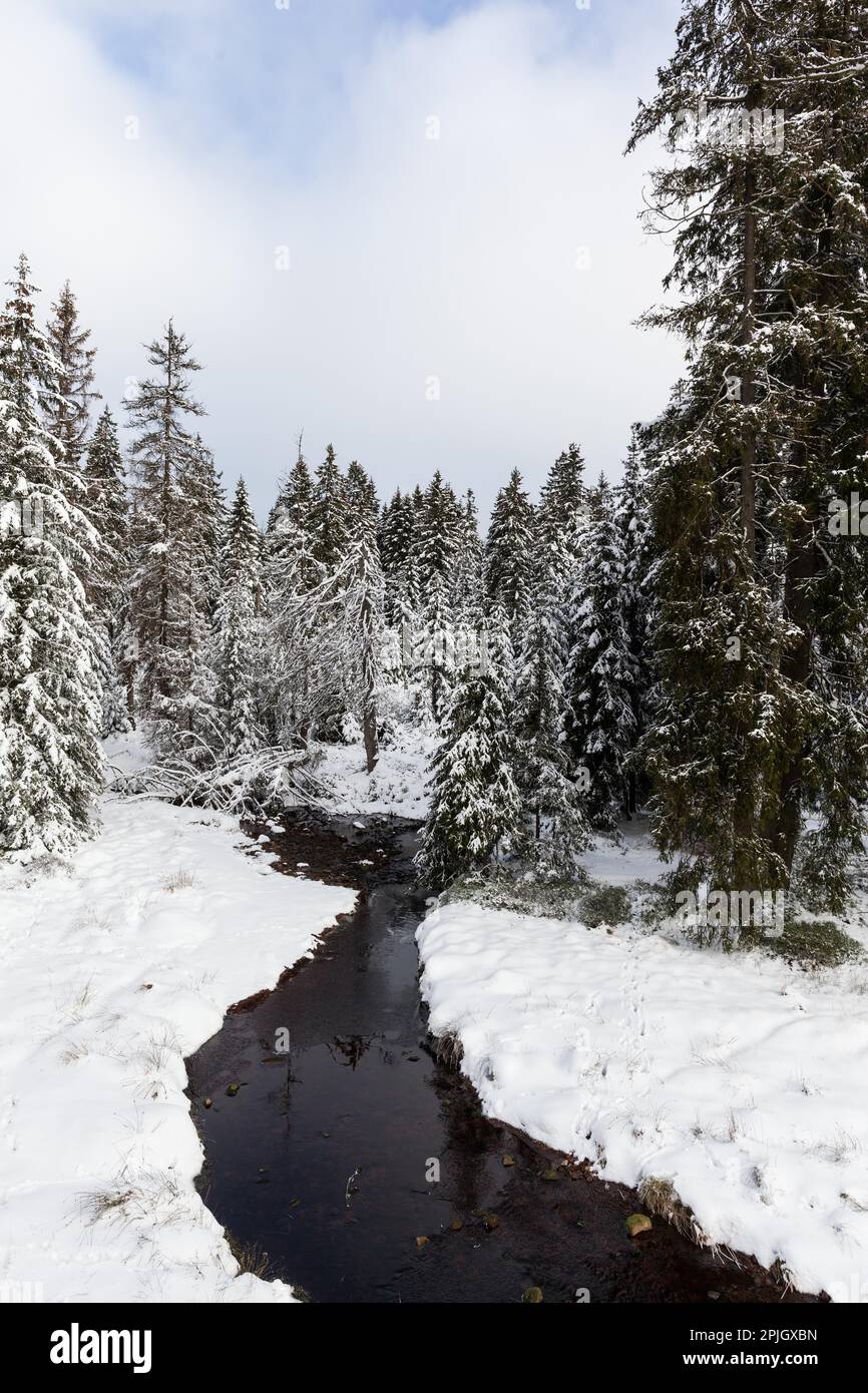 View of a stream from the Oderteich circular hiking trail Stock Photo ...