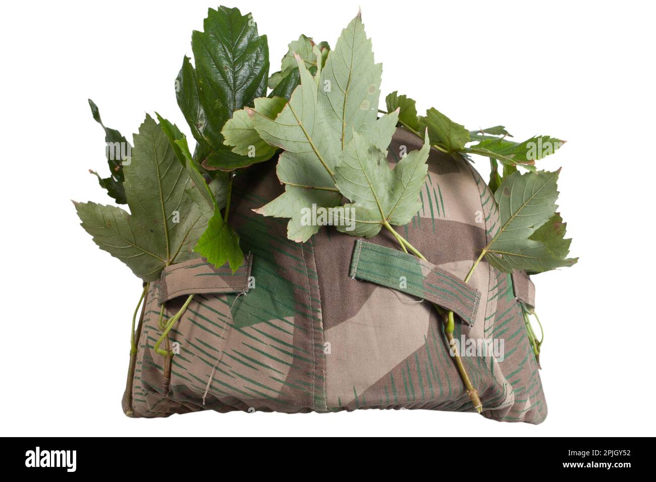 German Nazi Army steel helmet camouflaged with cover and tree leaves ...